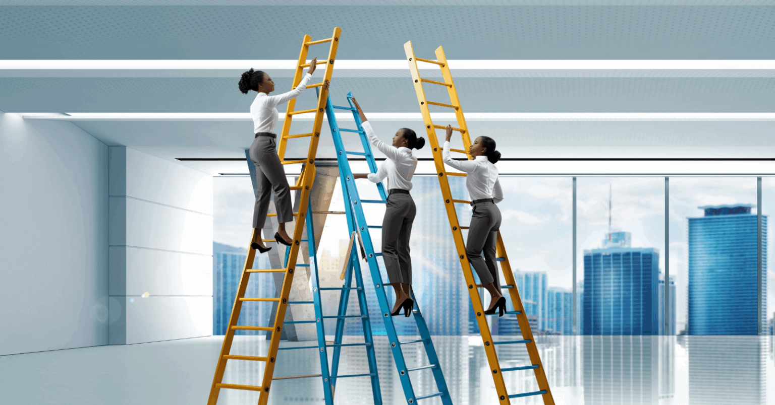 What’s Holding Up the Ladder - Forté Foundation